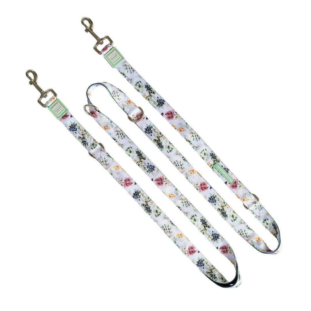 Evergreen Multi-Function Leash – The Flying Dog n Co
