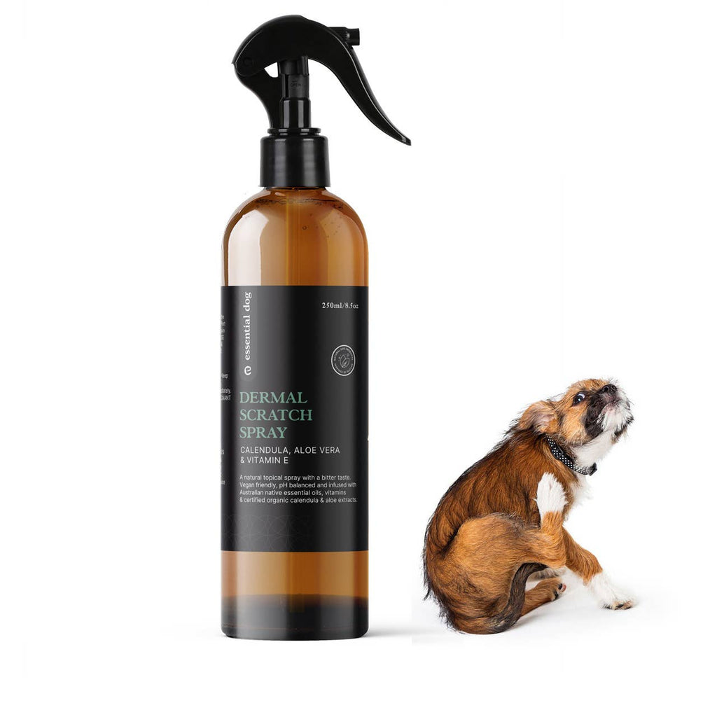 Anti Itch Dermal Scratch Spray (Aloe & Calendula) – The Flying Dog n Co