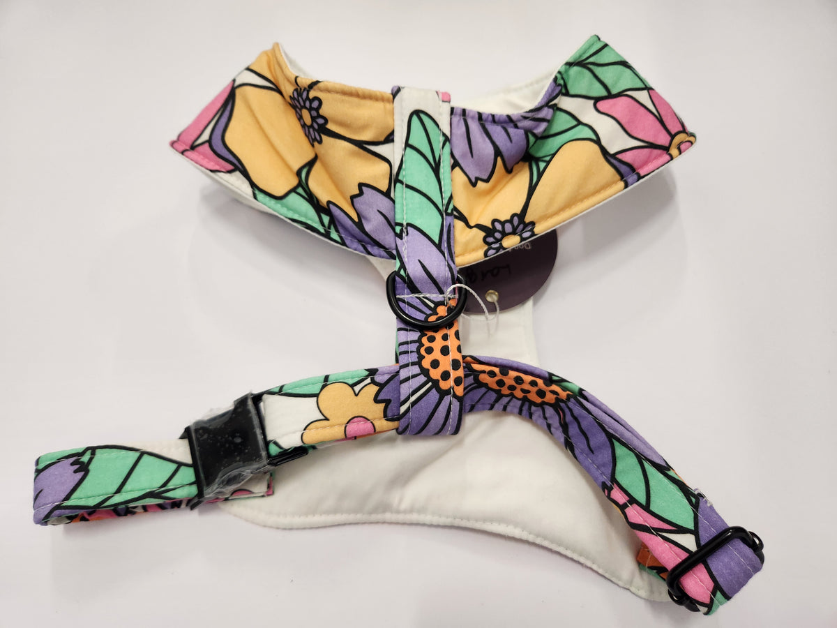 Rainbow handmade Harness – The Flying Dog n Co