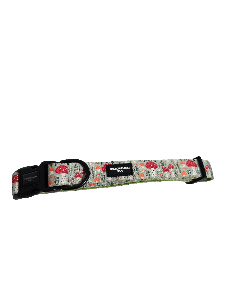Shroomies - adjustable soft collar – The Flying Dog n Co