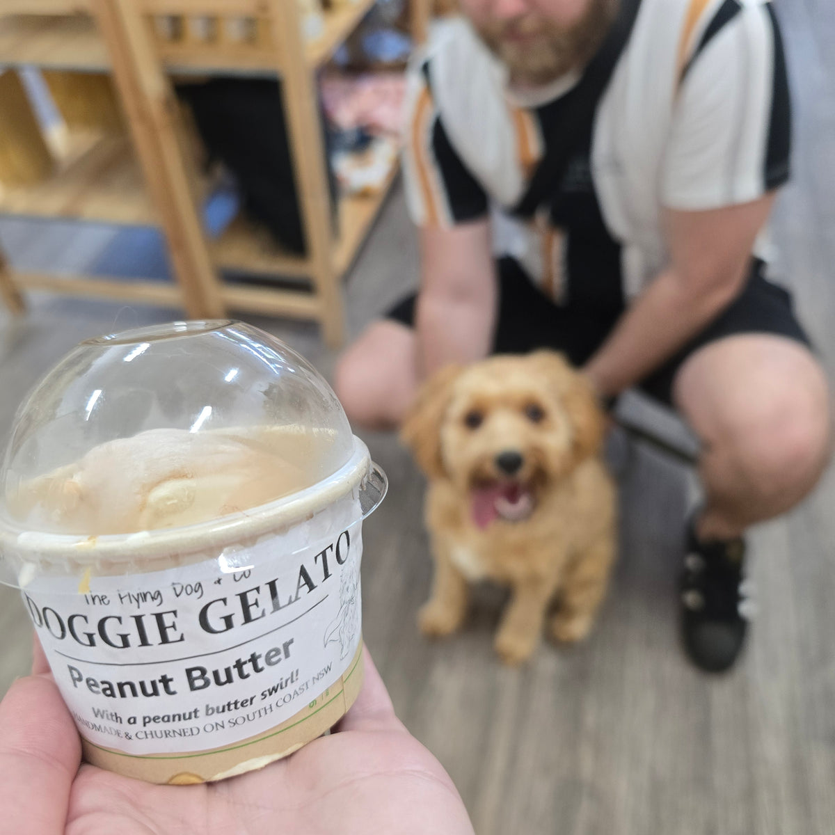 Flying dog gelato ***pick up only – The Flying Dog n Co