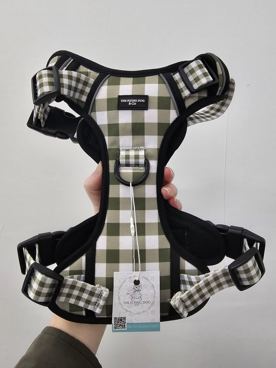All rounder Harness Come Check This – The Flying Dog n Co